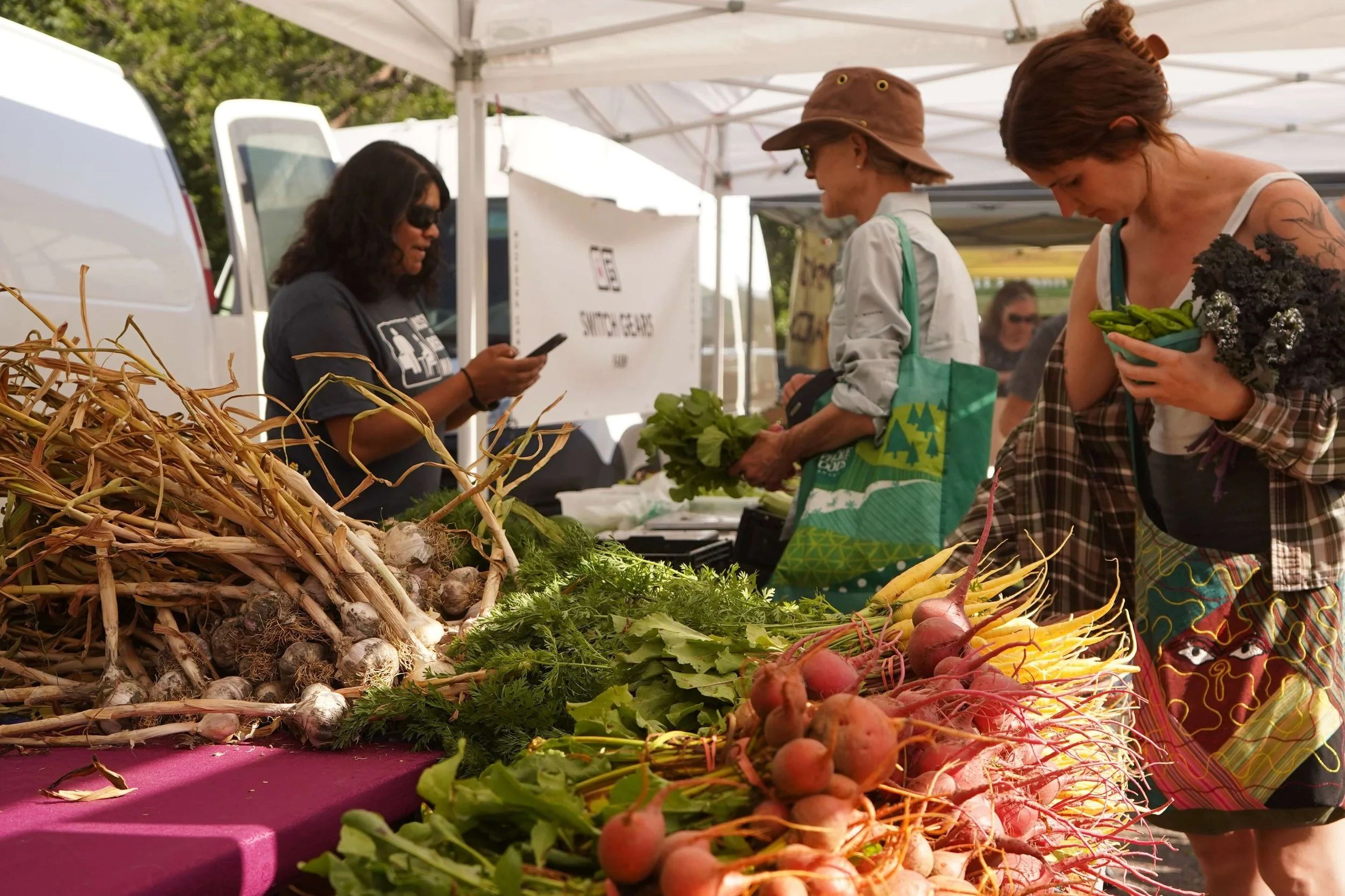 Lafayette Colorado Farmers Market