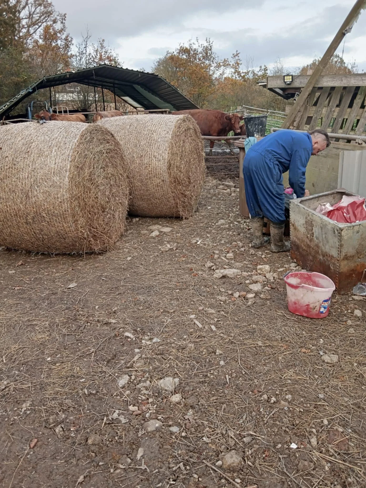 Practical Skills — Little Haven Farm