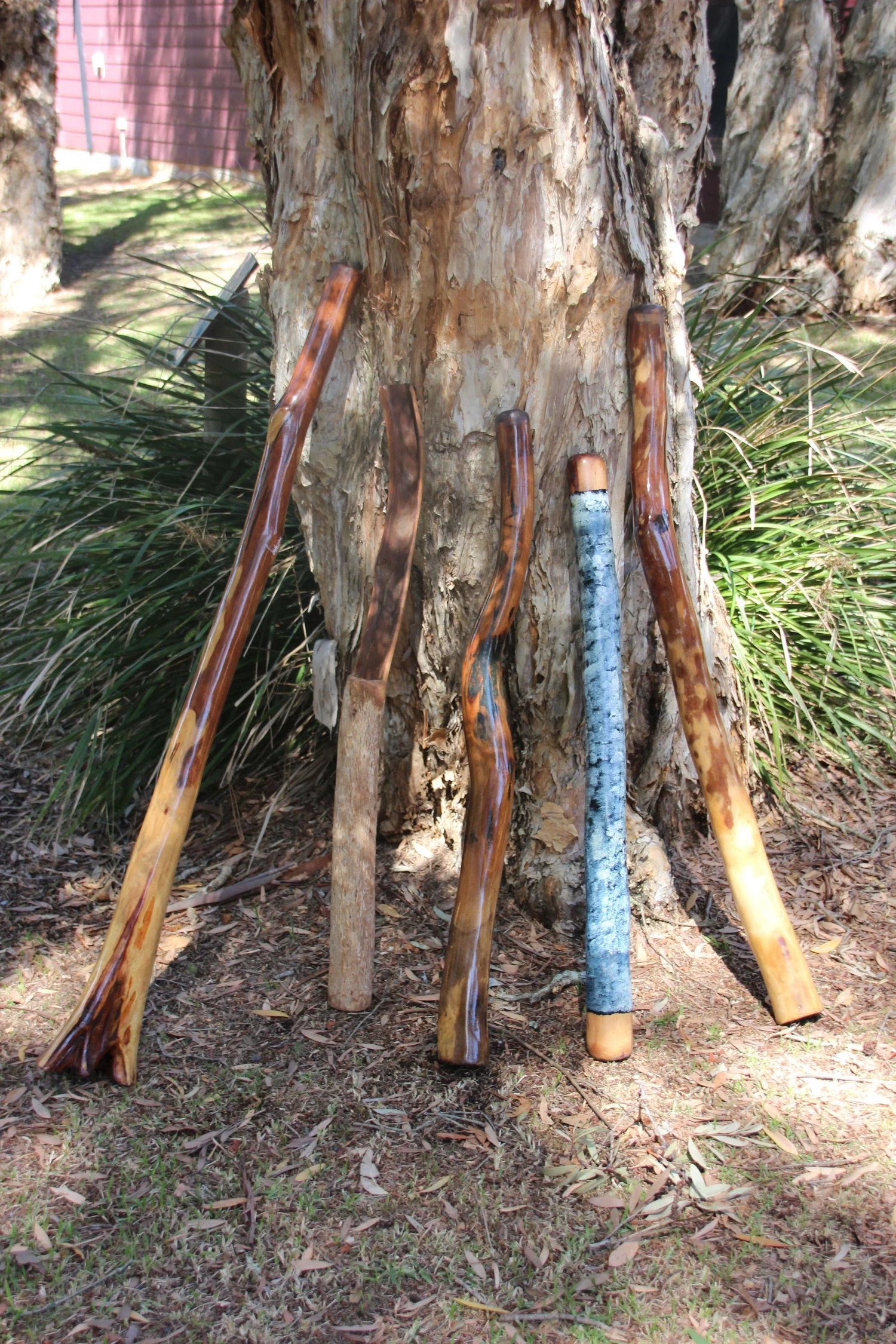 EDUCATION — Murrook Culture Centre