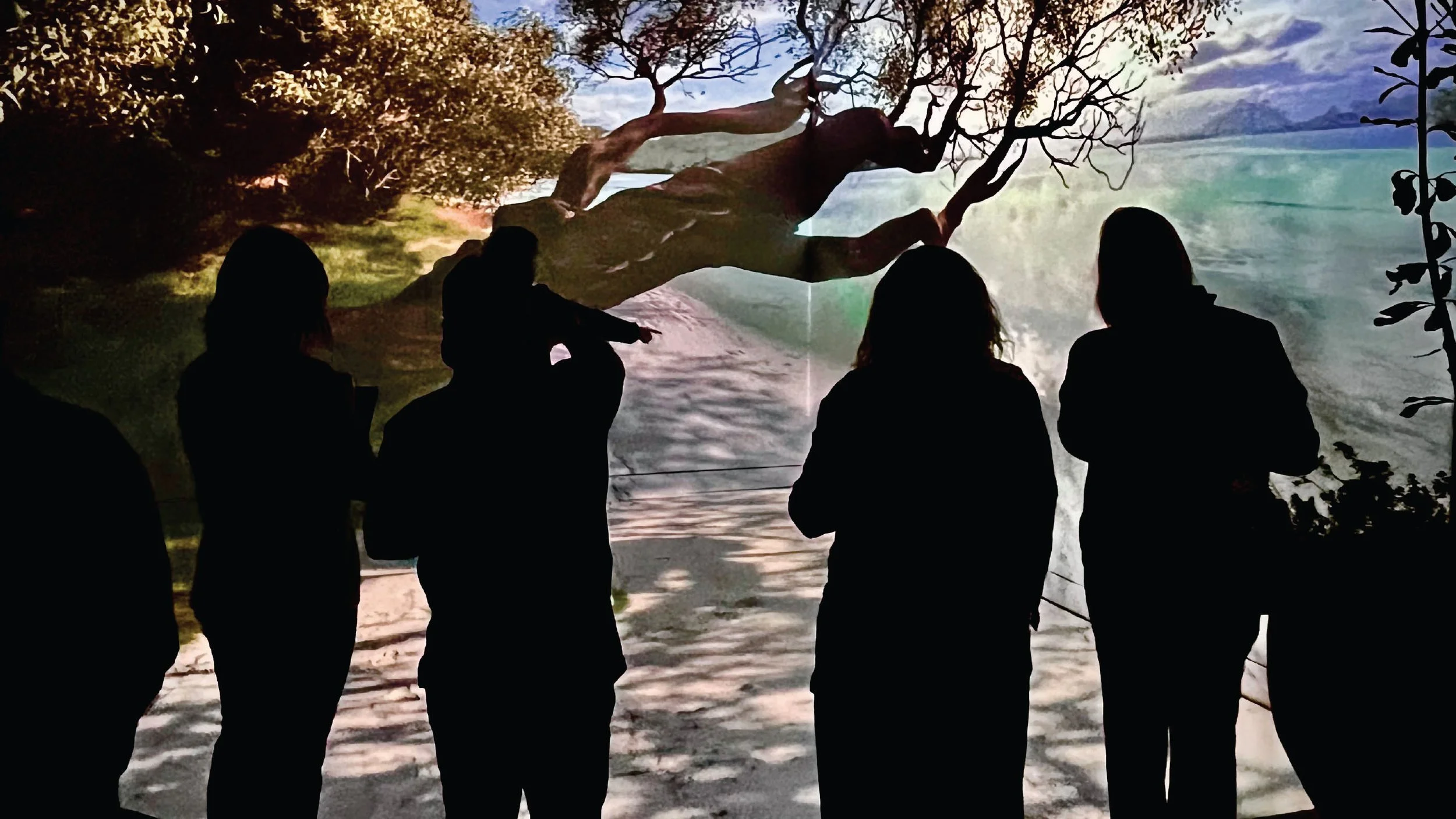 EDUCATION — Murrook Culture Centre