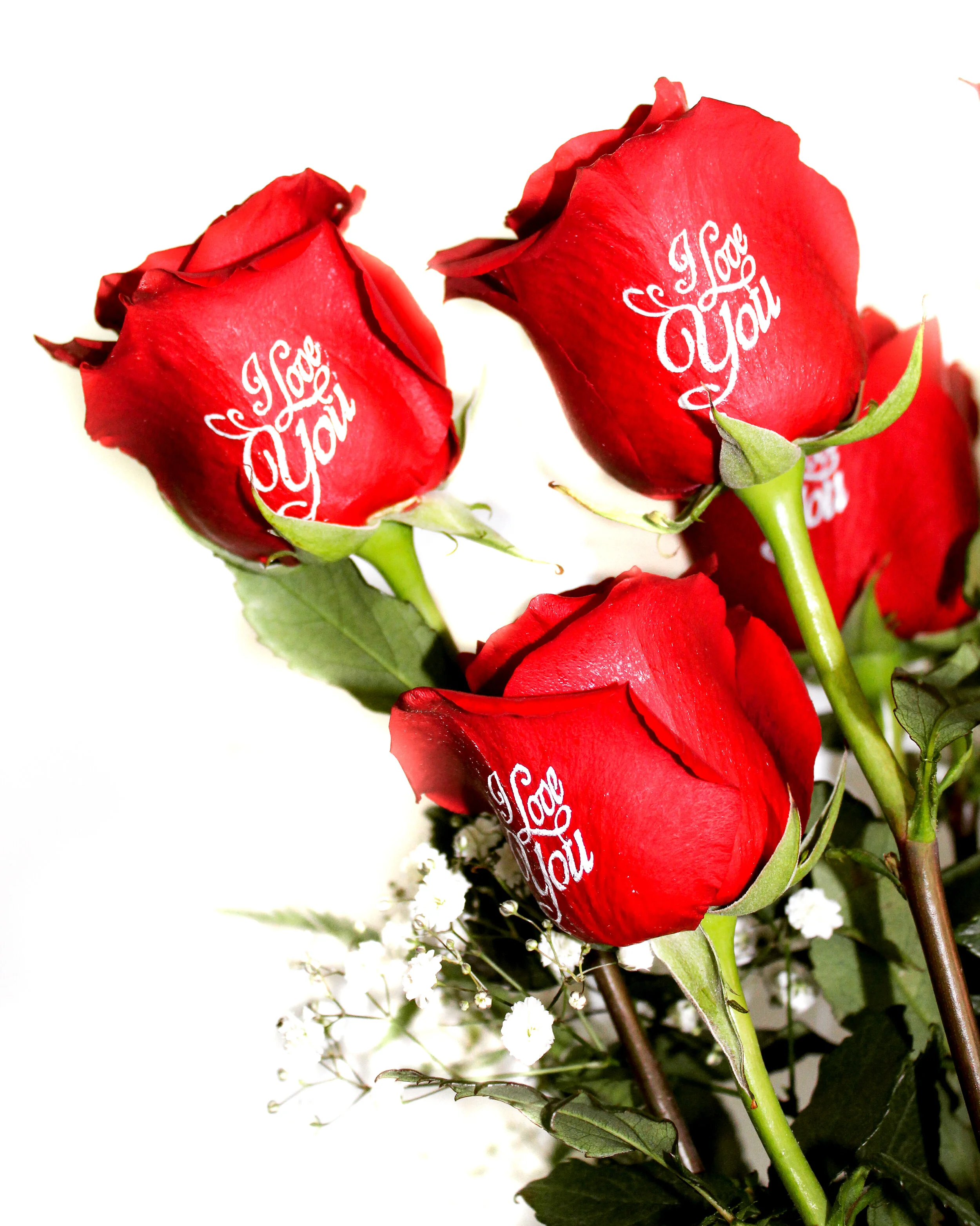 Build A Rose Bouquet In a Vase | Talk ta Me Floral