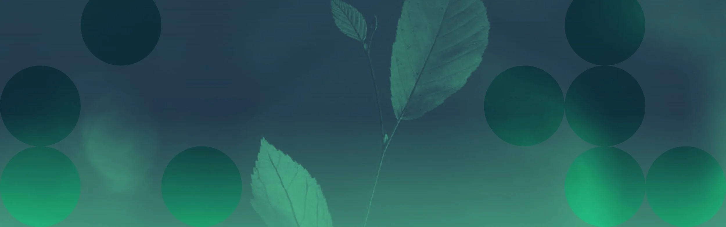 TenU RISE - Mentoring Programme | TenU — TenU