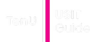 University Spin-Out Investment Terms (USIT) | TenU — TenU