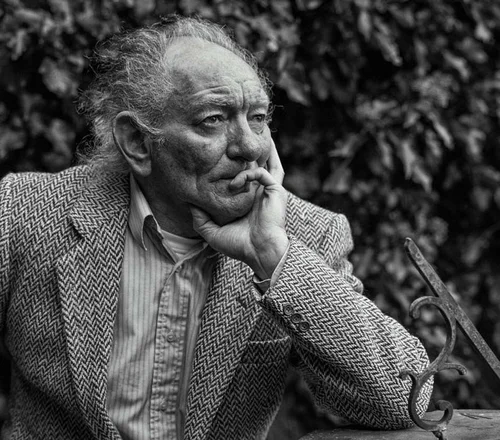 Brian Friel's life & work — The Brian Friel Centre