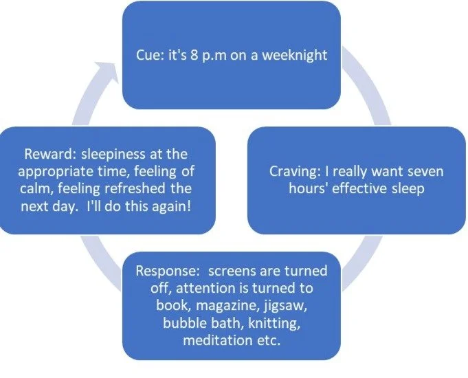 Effective Habits: The Infinite Power of Tiny Shifts in Our Behaviour ...