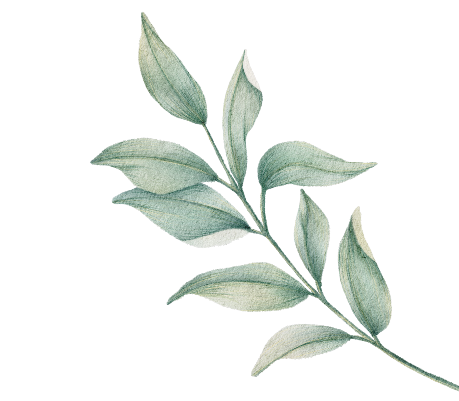 Smith House Restaurant