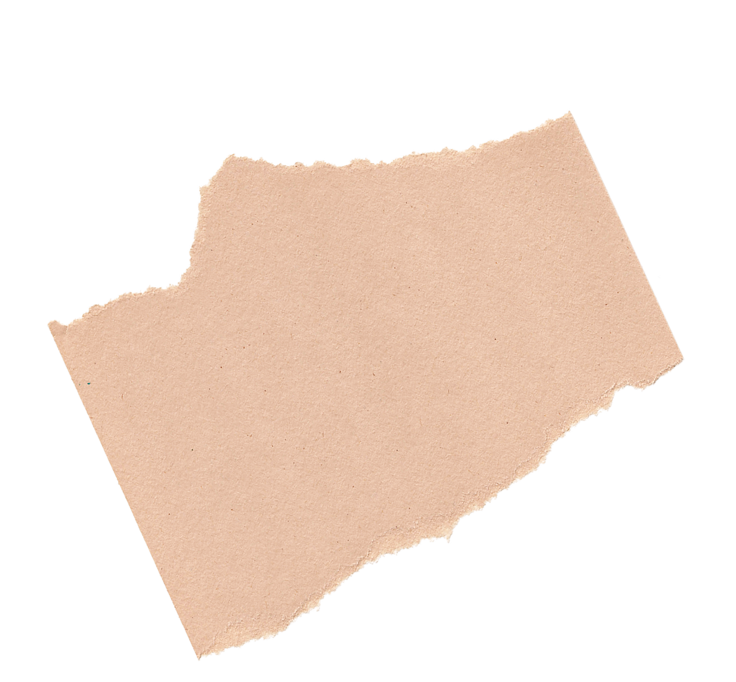 Alma: Your Nutrition Companion | Track, Learn & Discover Food