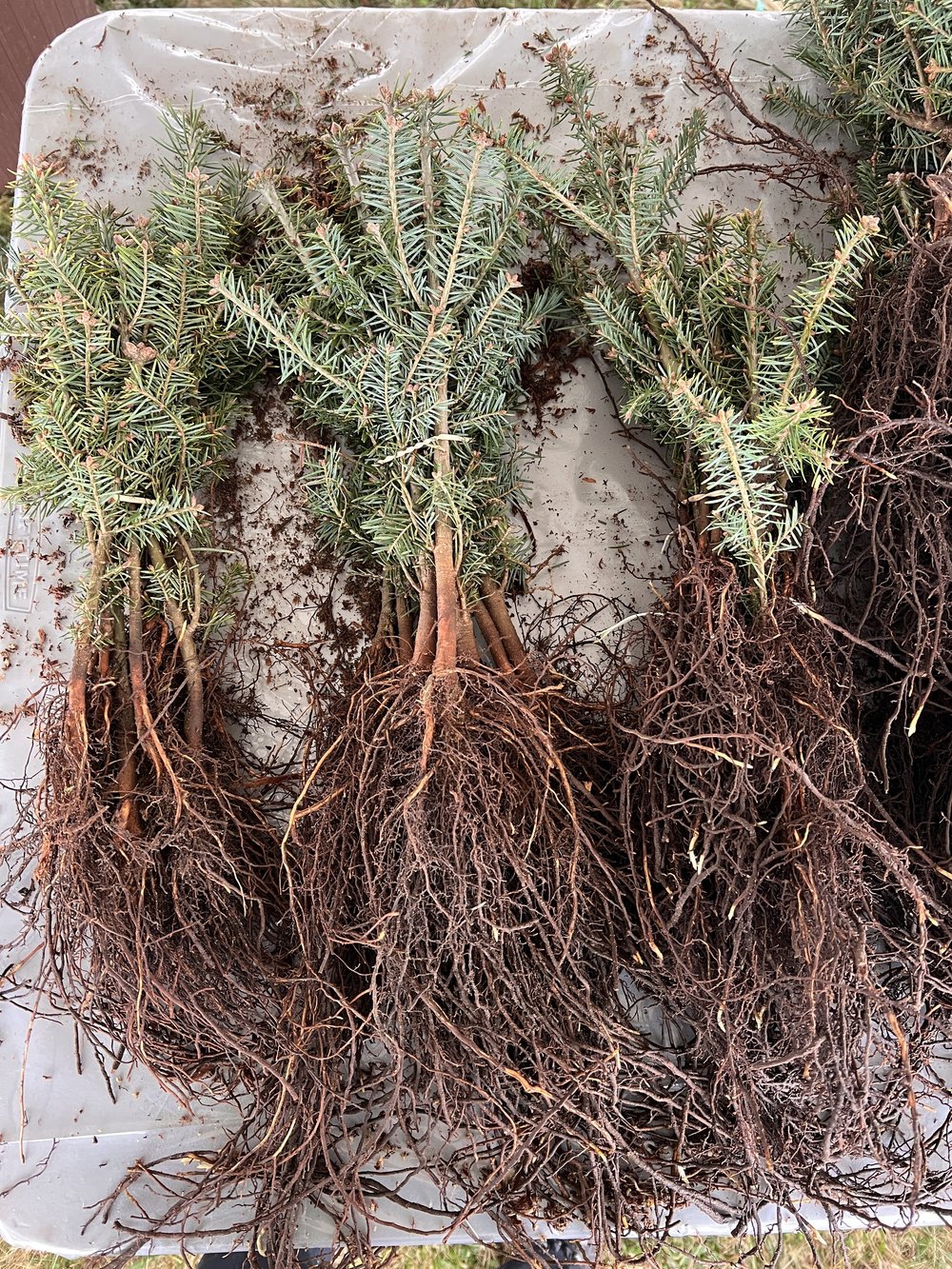 Oswego County Soil and Water