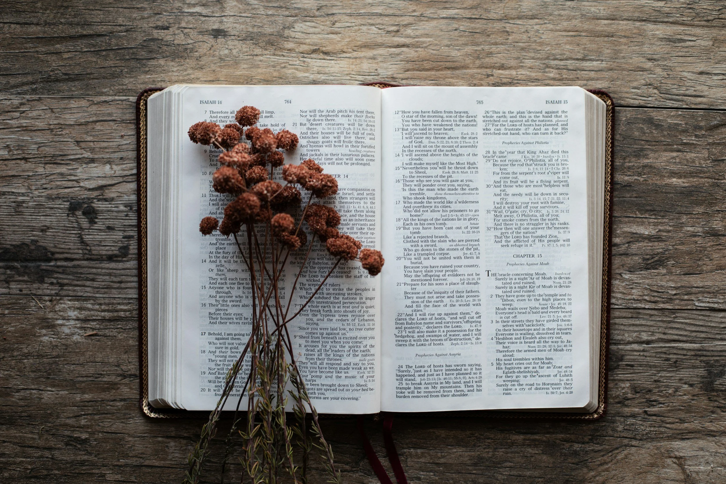 Bible Class — Trinity Lutheran Church Panama City