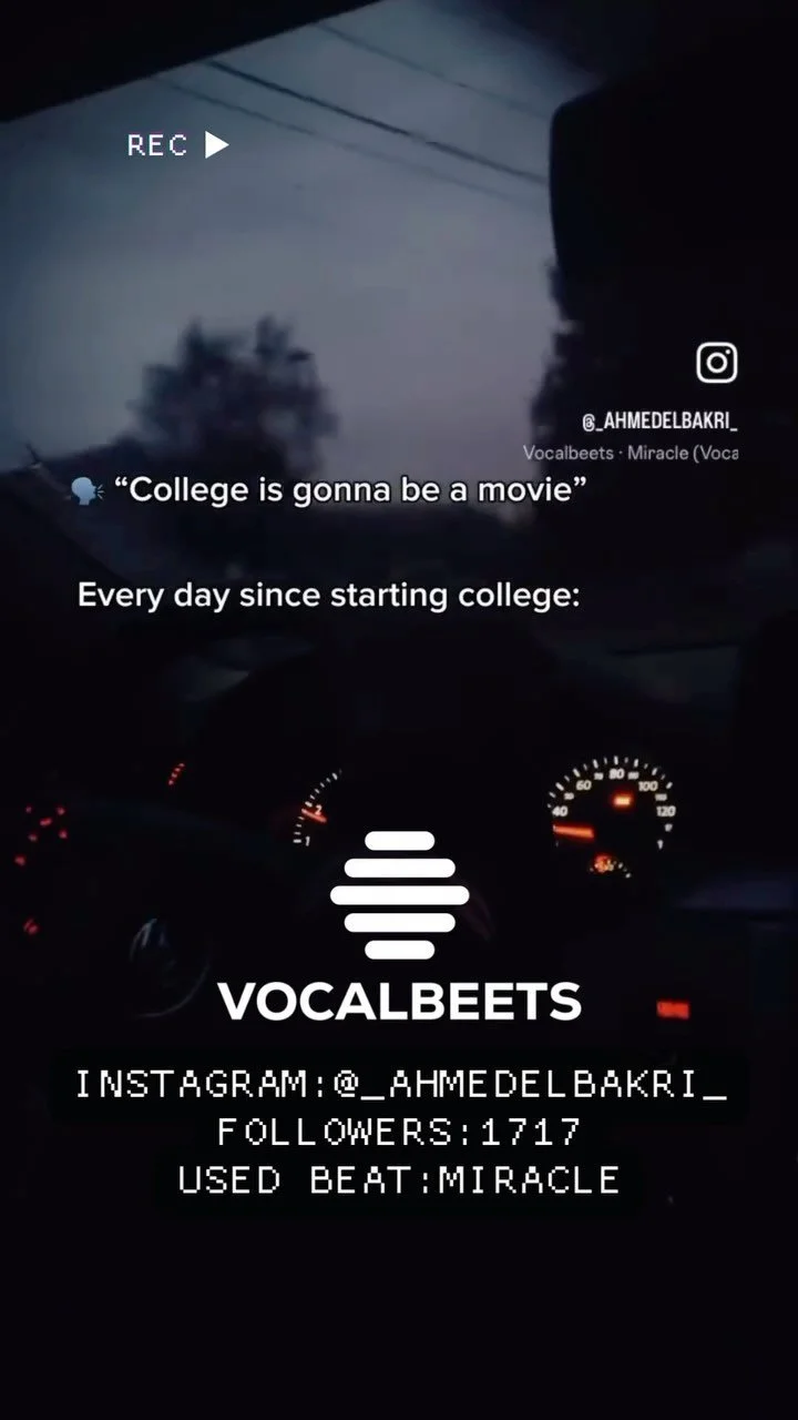 VOCALBEETS