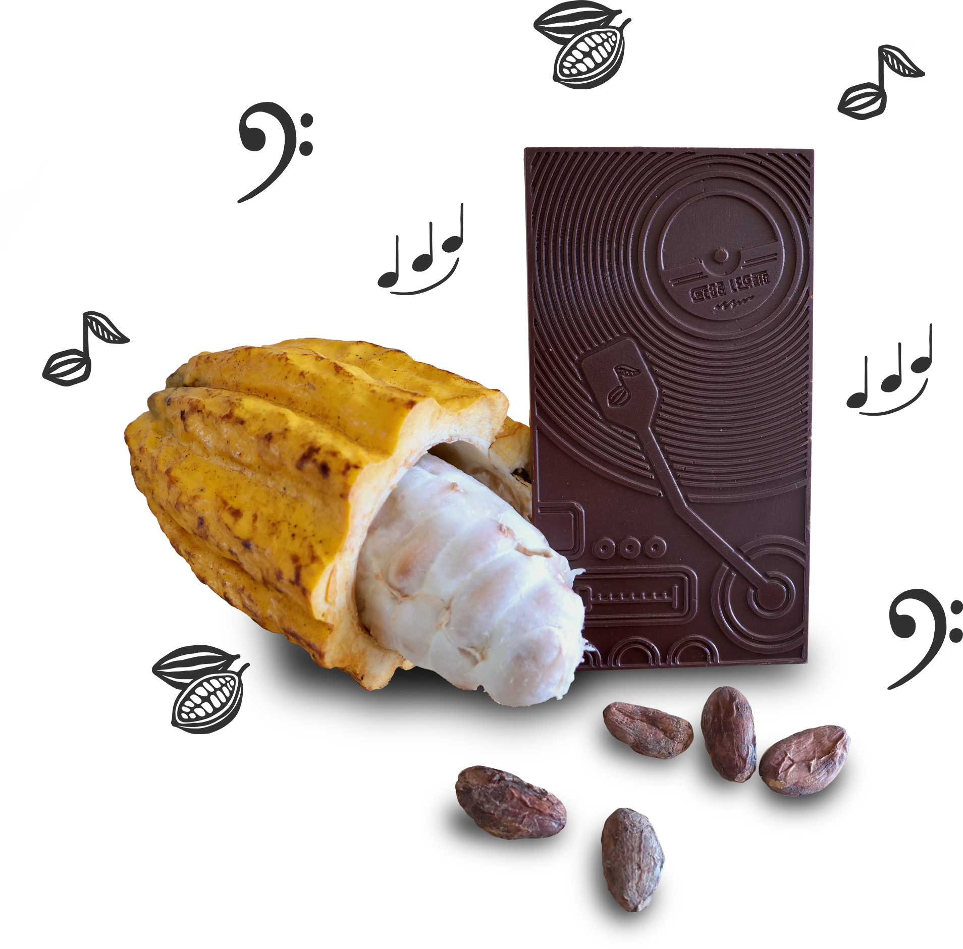 Cocoa Legato