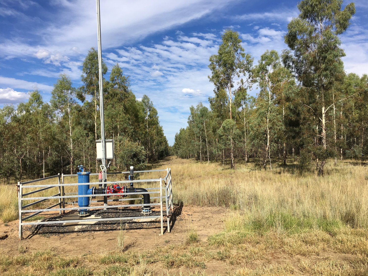 Beneficial Use of Coal Seam Gas Water for Irrigated Forest Plantations ...