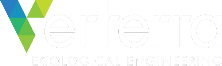Ecological Engineering & Nature-Based Solutions | Verterra