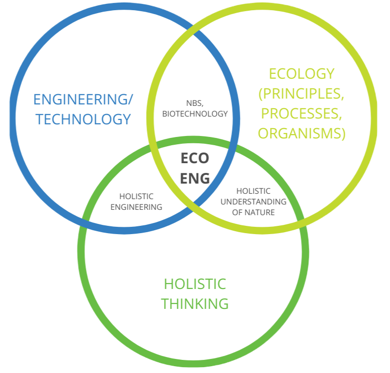 Verterra Ecological Engineering