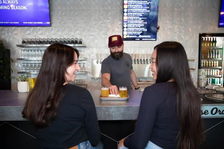 Draft Beer vs. Bottled Beer: A Comprehensive Taste Test Guide ...