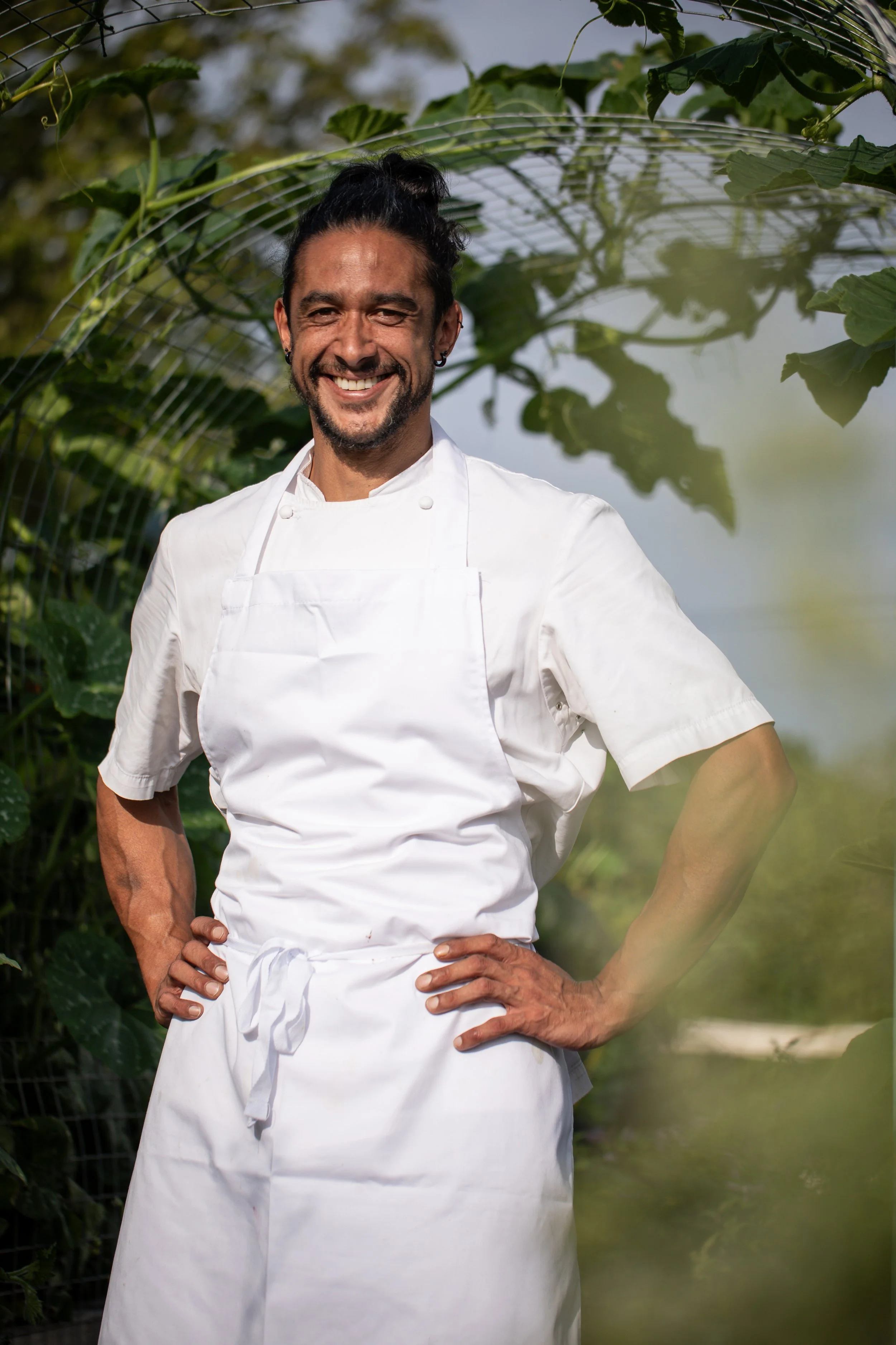 Food & Drink — The Woodcote - Lodge and Restaurant - Graffham, West Sussex