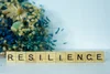 Understanding PTSD: The Cycle of Avoidance and Intrusion — Prospering ...