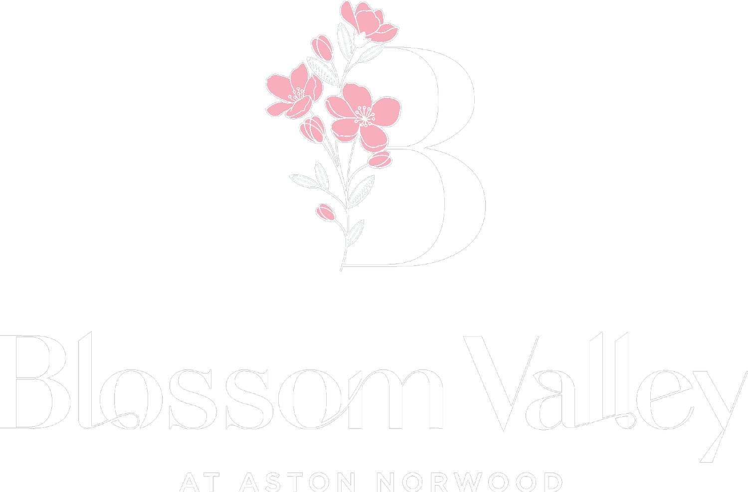 Blossom Valley Blossom Valley is Wellingtons annual cherry blossom festival