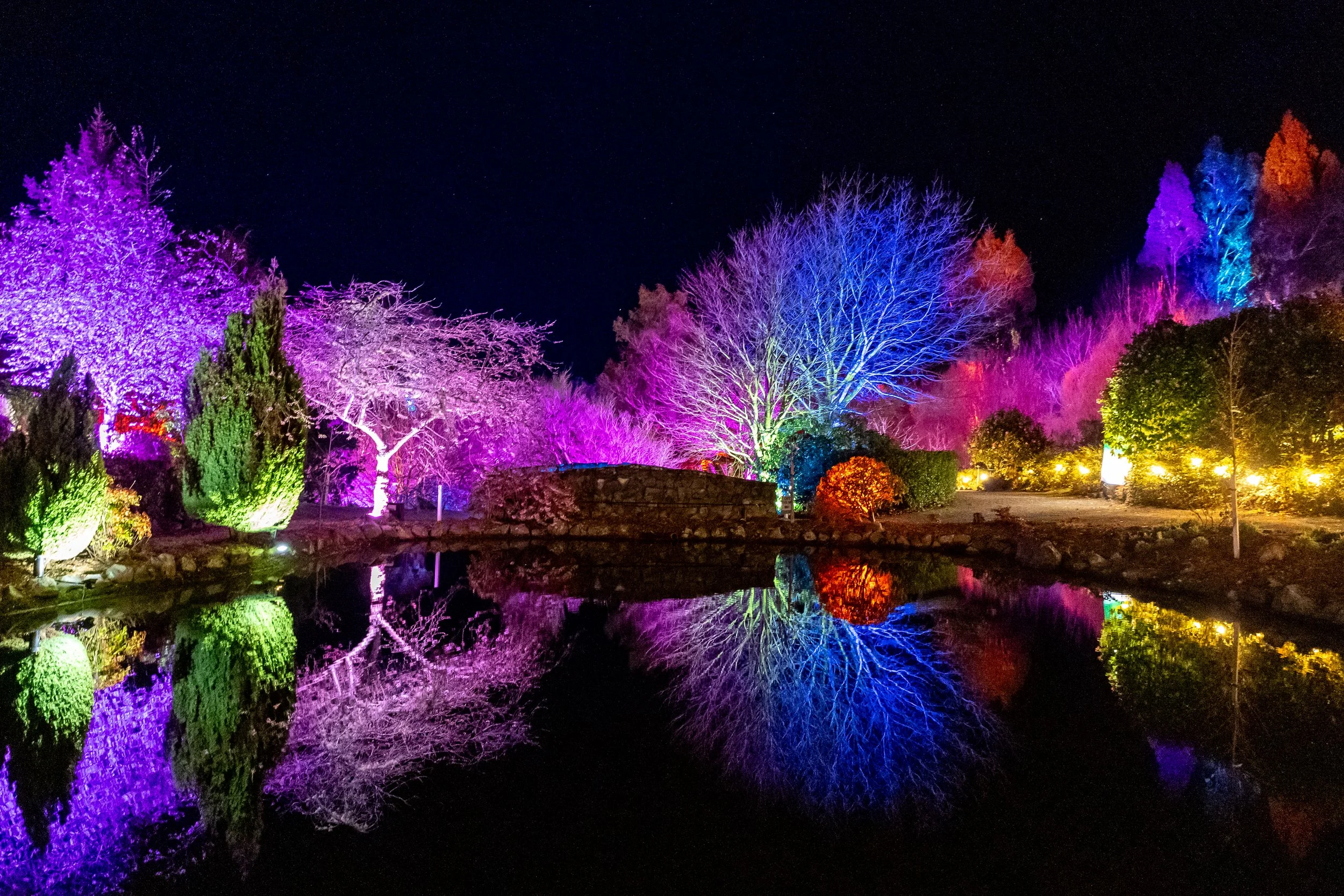 Blossom Valley Blossom Valley is Wellingtons annual cherry blossom festival