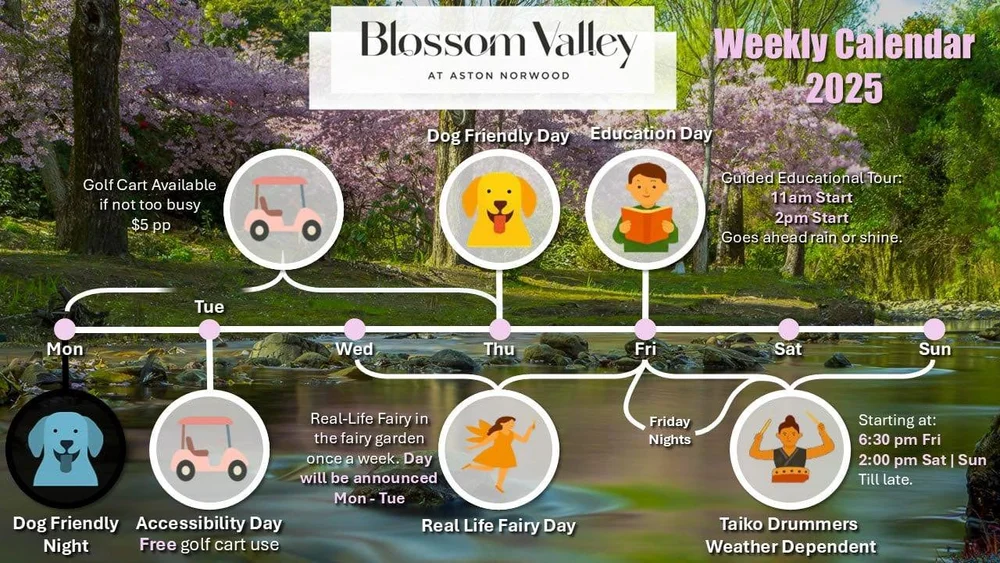 Blossom Valley Blossom Valley is Wellingtons annual cherry blossom festival