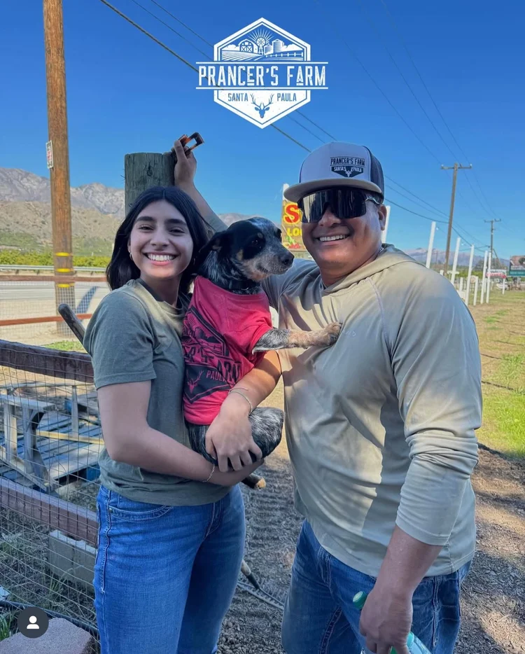 Prancers Farm