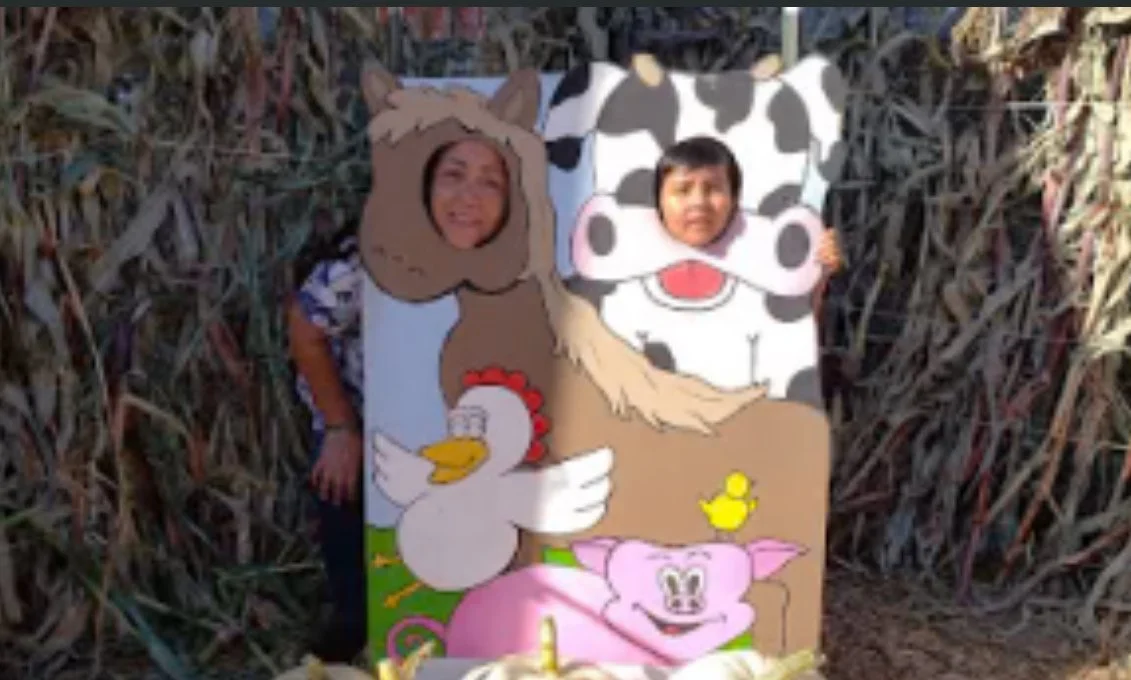 Prancers Farm | Discover Fresh Farm Fun!