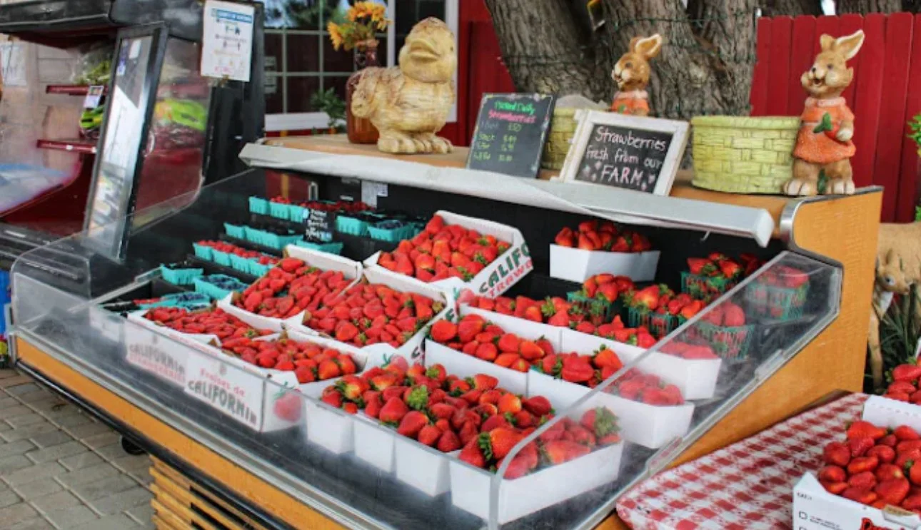 Prancers Farm | Discover Fresh Farm Fun!