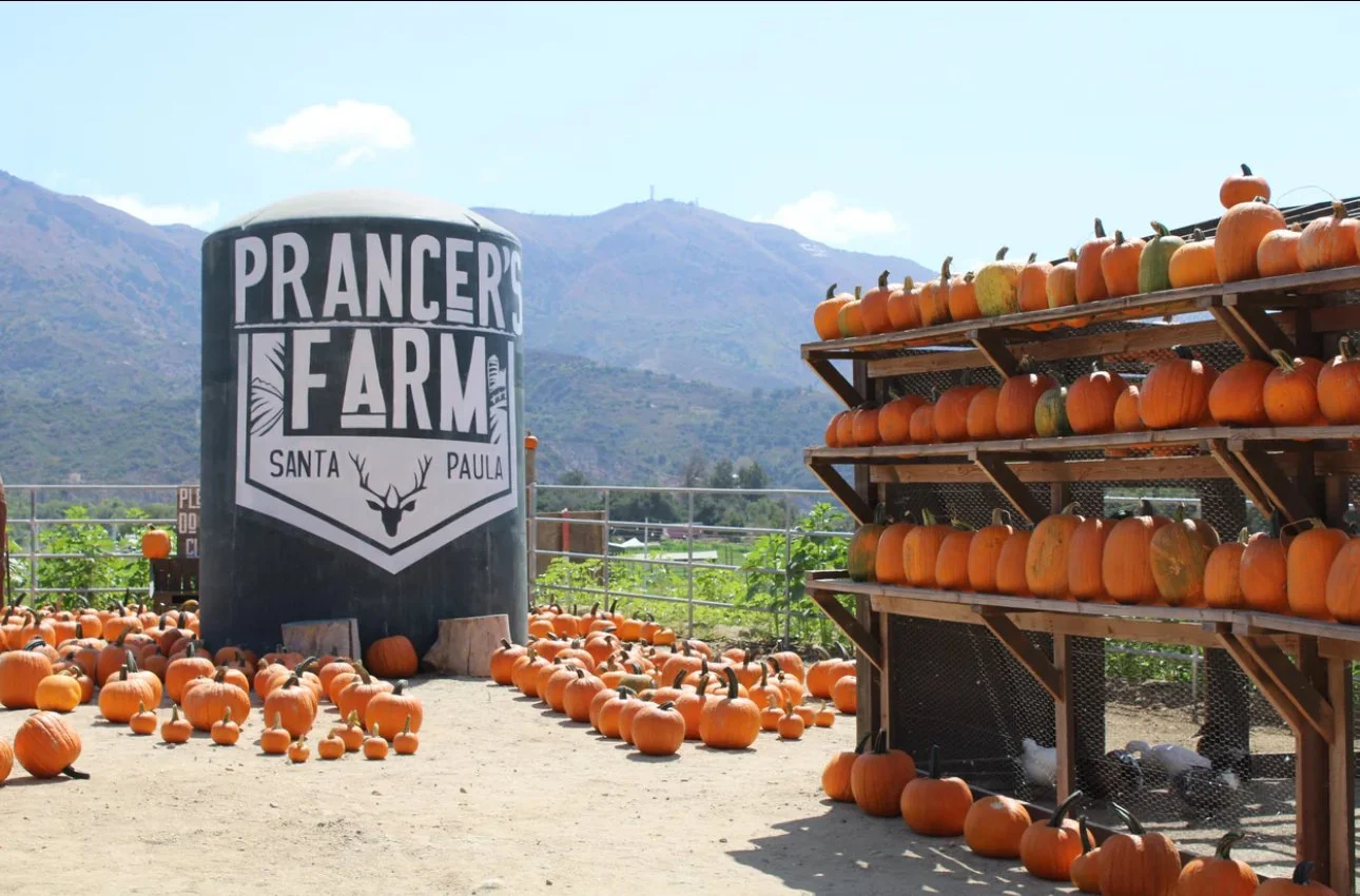 Prancers Farm | Discover Fresh Farm Fun!
