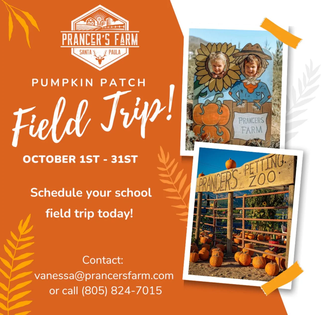 Field Trips/Birthday Parties | Explore Farms Today – Book Now ...