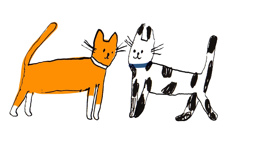 About — Orange Beak