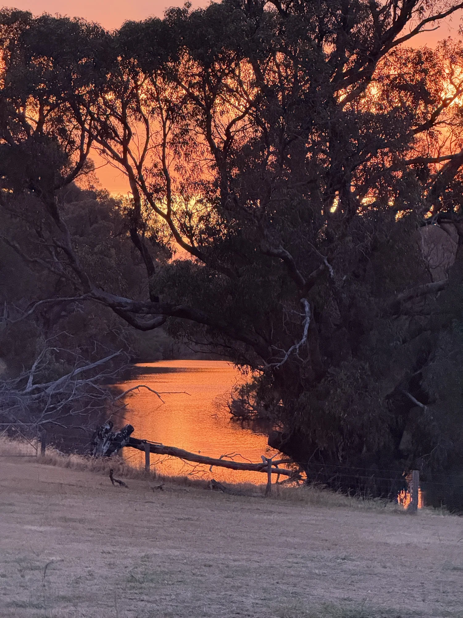 The Venue — Moore River Brewing Co