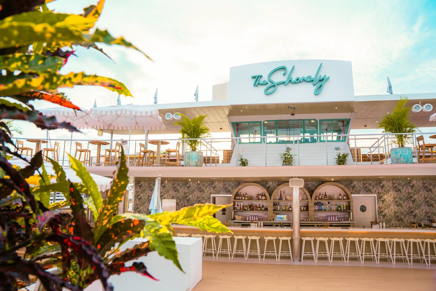 Projects — Higney International