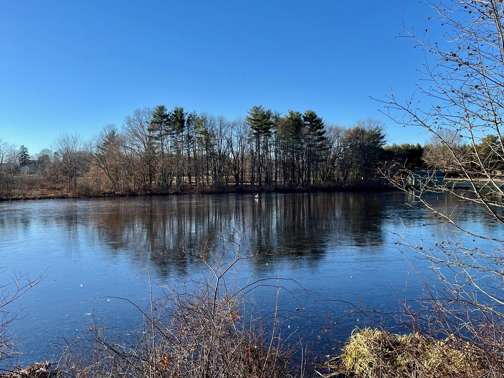 Friends of Mill Woods Park