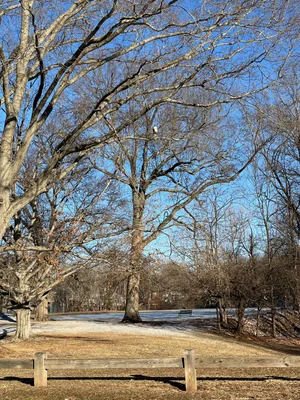 Friends of Mill Woods Park