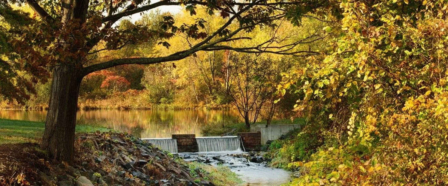 Friends of Mill Woods Park