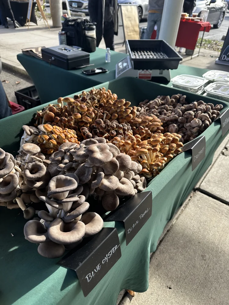 Farmers Market — New Albany Main Street
