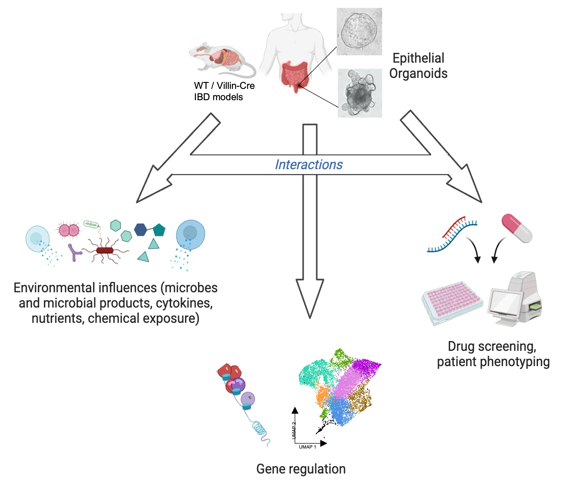 General 4 — JIDE-OJO LAB