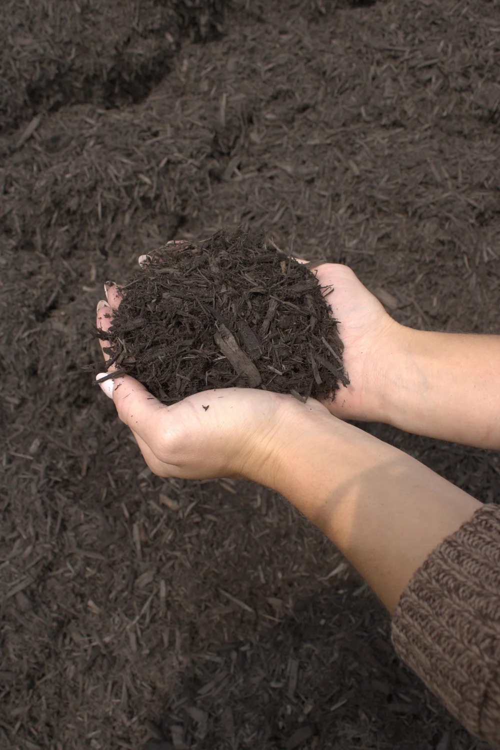 Mulch — Woodland Earth