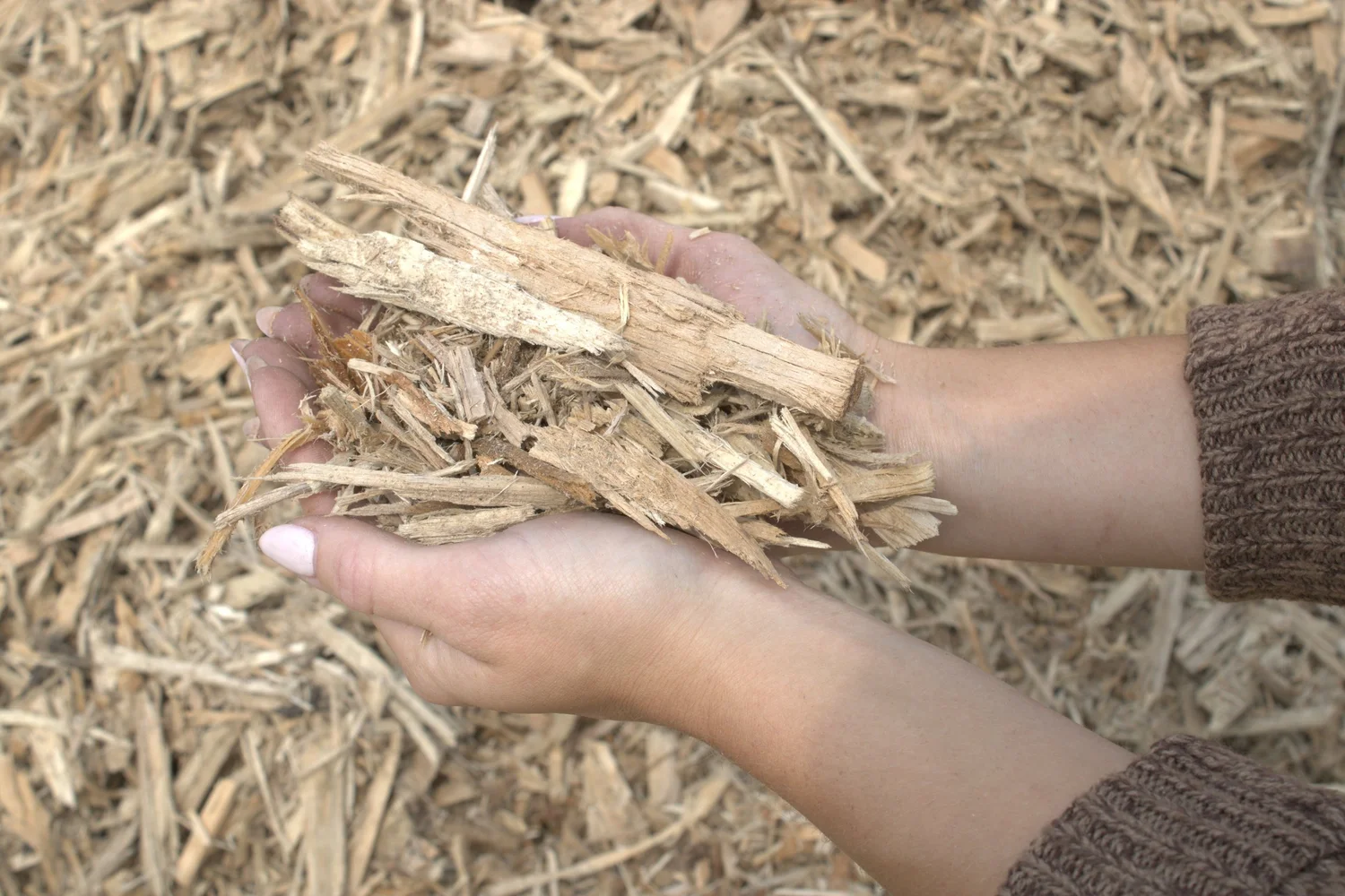 Mulch — Woodland Earth