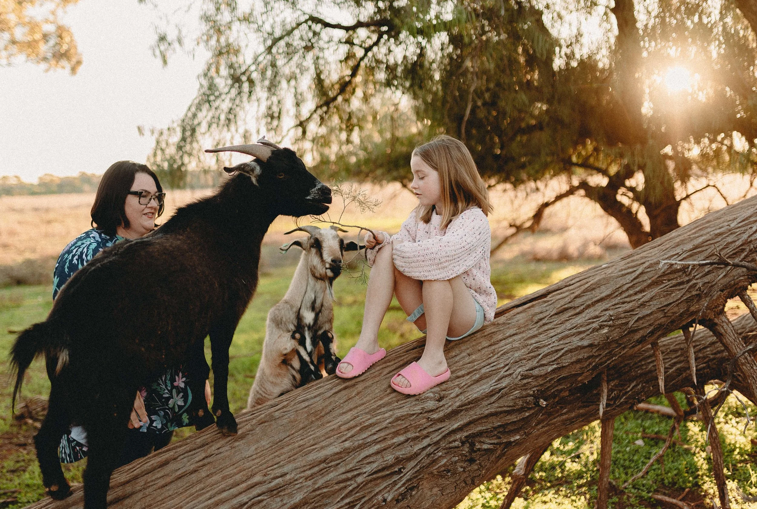 Things to do | Meralda Station | Cobar NSW | Things to do to enhance ...