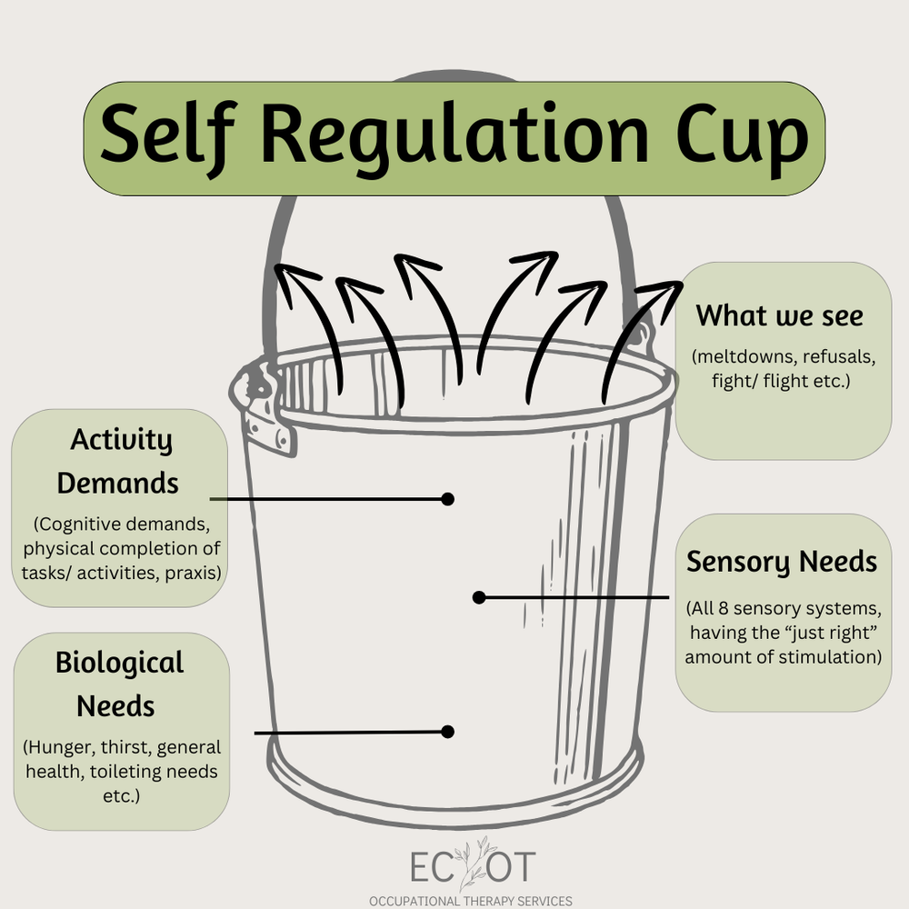 Self Regulation Cup — EC Occupational Therapy