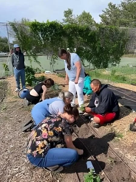 Project Connection — Social Prescribing USA