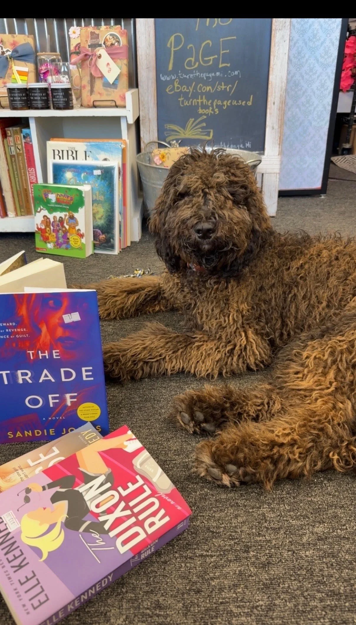 Your Community Bookstores in Michigan: New & Used Books