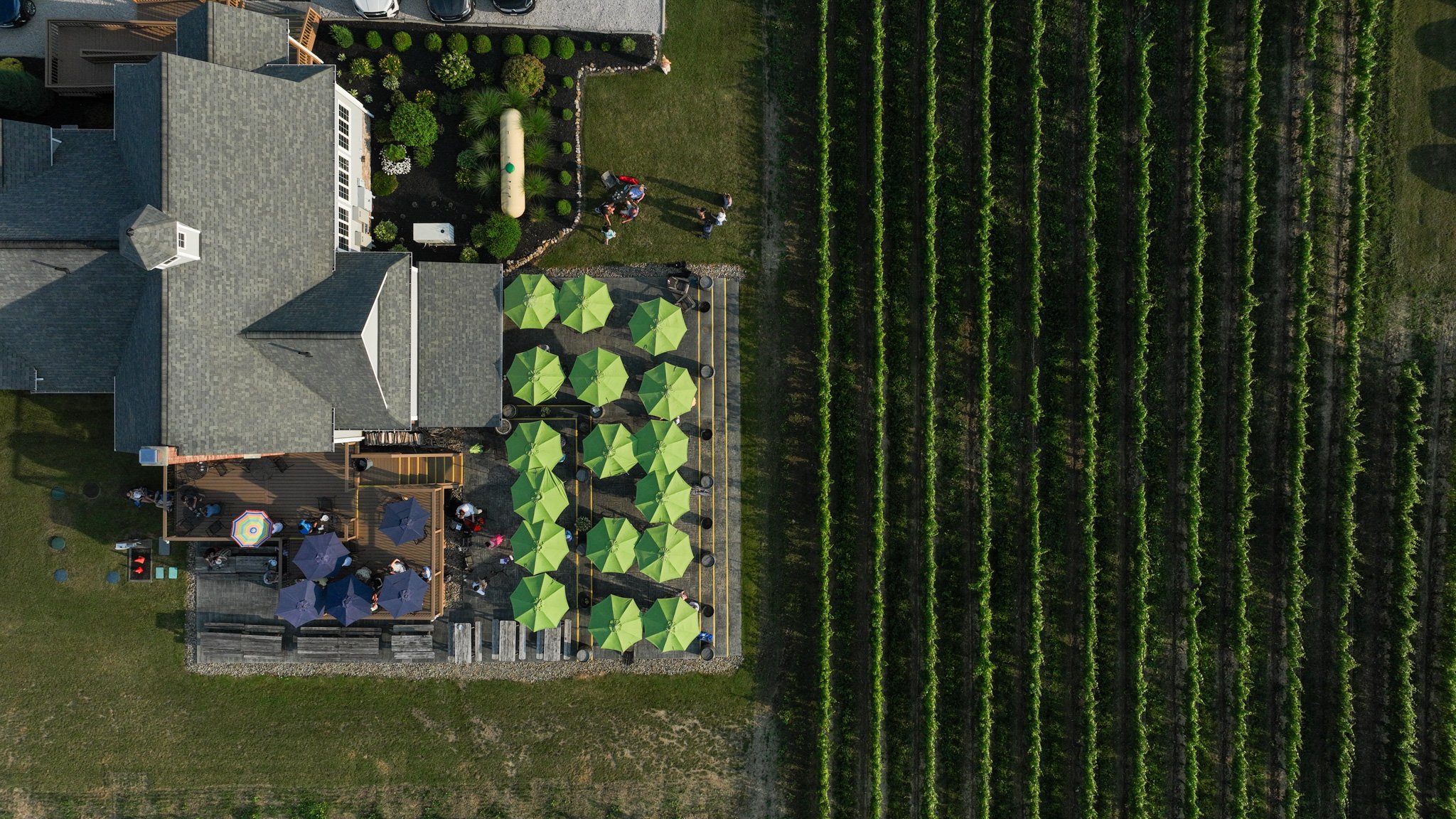 About M Cellars Winery | Geneva on the Lake Winery | Geneva Ohio — M ...