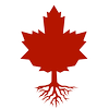 MLM Canada | Legal Experts in Canadian Direct Selling & MLM Expansion