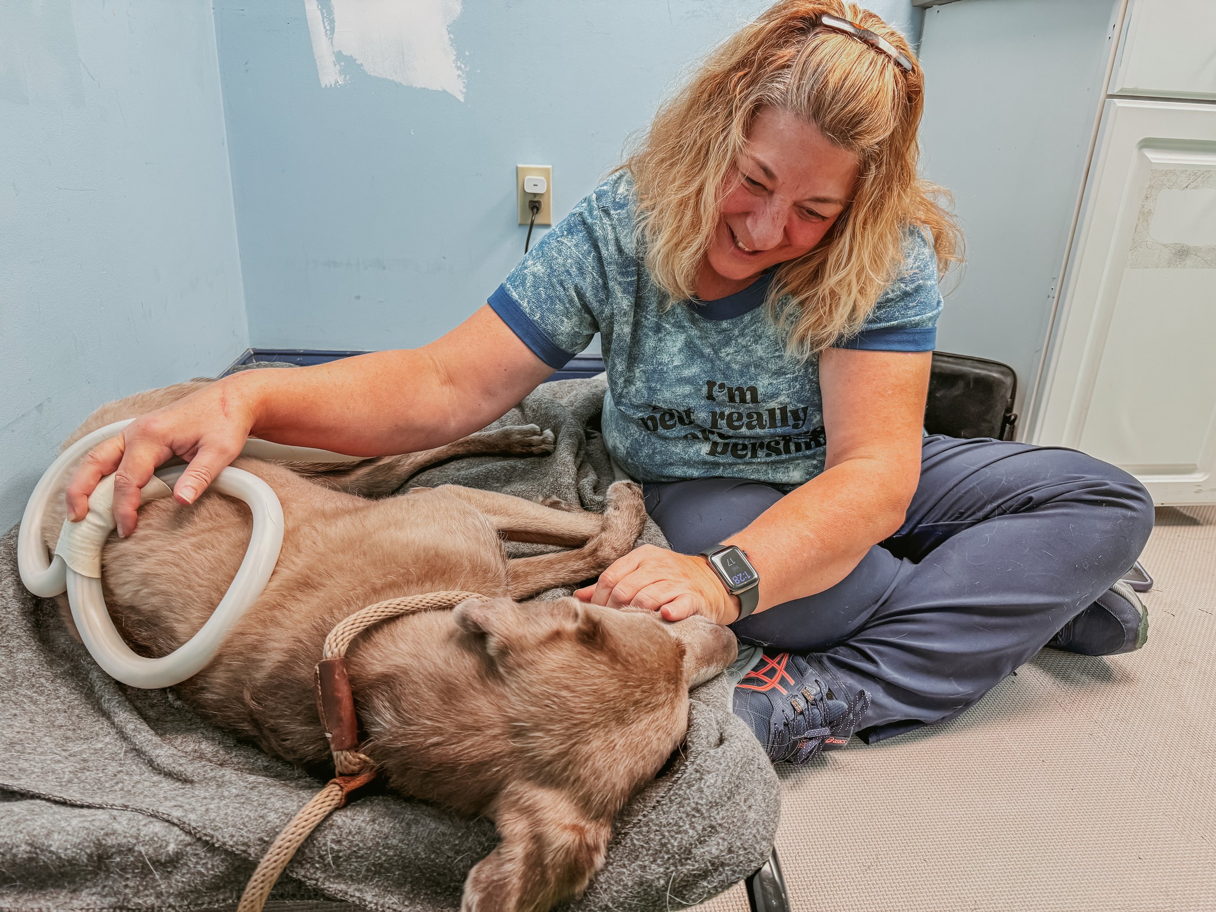 Balanced Animal Rehab and Training Center