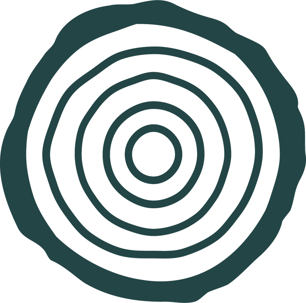 Our Story — The Dor Foundation