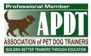 Amanda Gagnon Dog Training