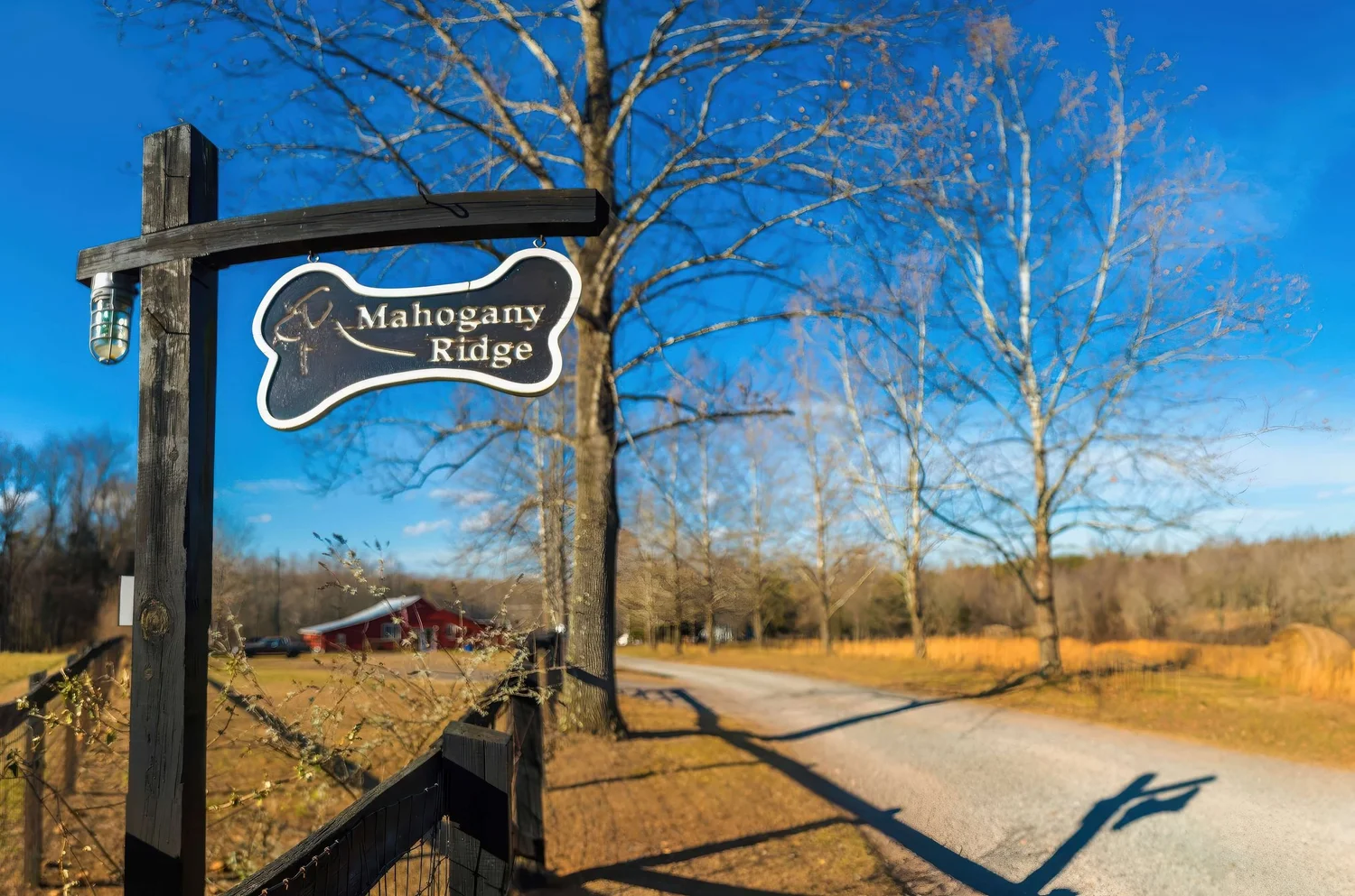 Mahogany Ridge: Your Dog's Learning Center