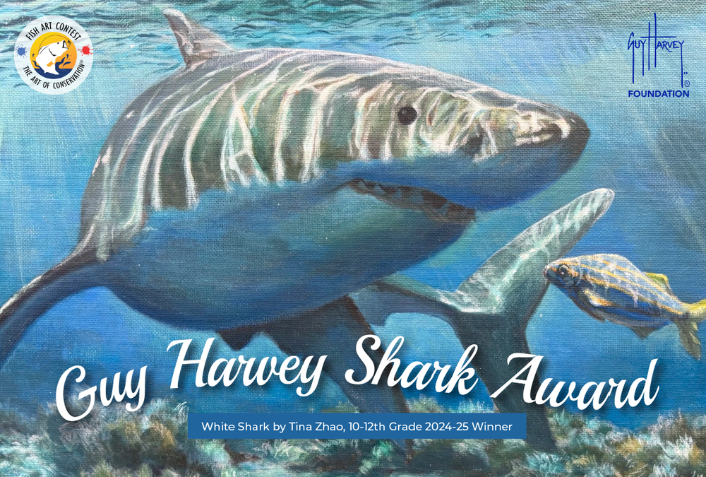 Wildlife Forever and the Guy Harvey Foundation Continue Partnership for ...